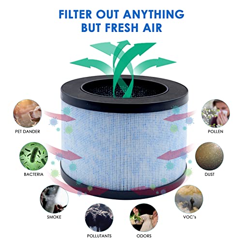 Flintar DH-JH01 True HEPA Replacement Filter, Compatible with AROEVE and Kloudi Air Purifier DH-JH01, Intelabe EPI080/EP1080, and Elechomes EPI081/EP1081, H13 Premium True HEPA Filter, 2-Pack