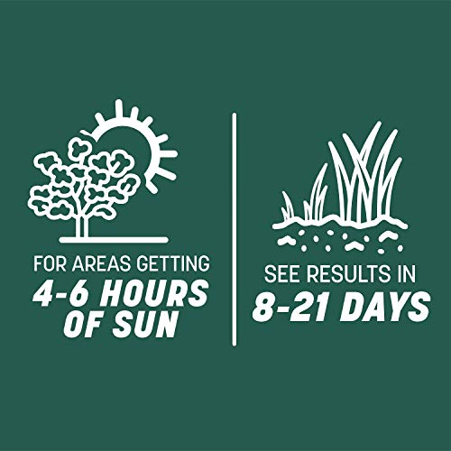 Pennington Smart Seed Sun and Shade Grass Mix 20 lb, Black Label