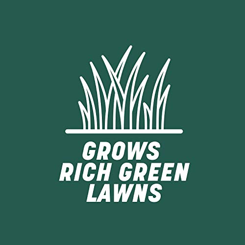 Pennington Smart Seed Sun and Shade Grass Mix 20 lb, Black Label