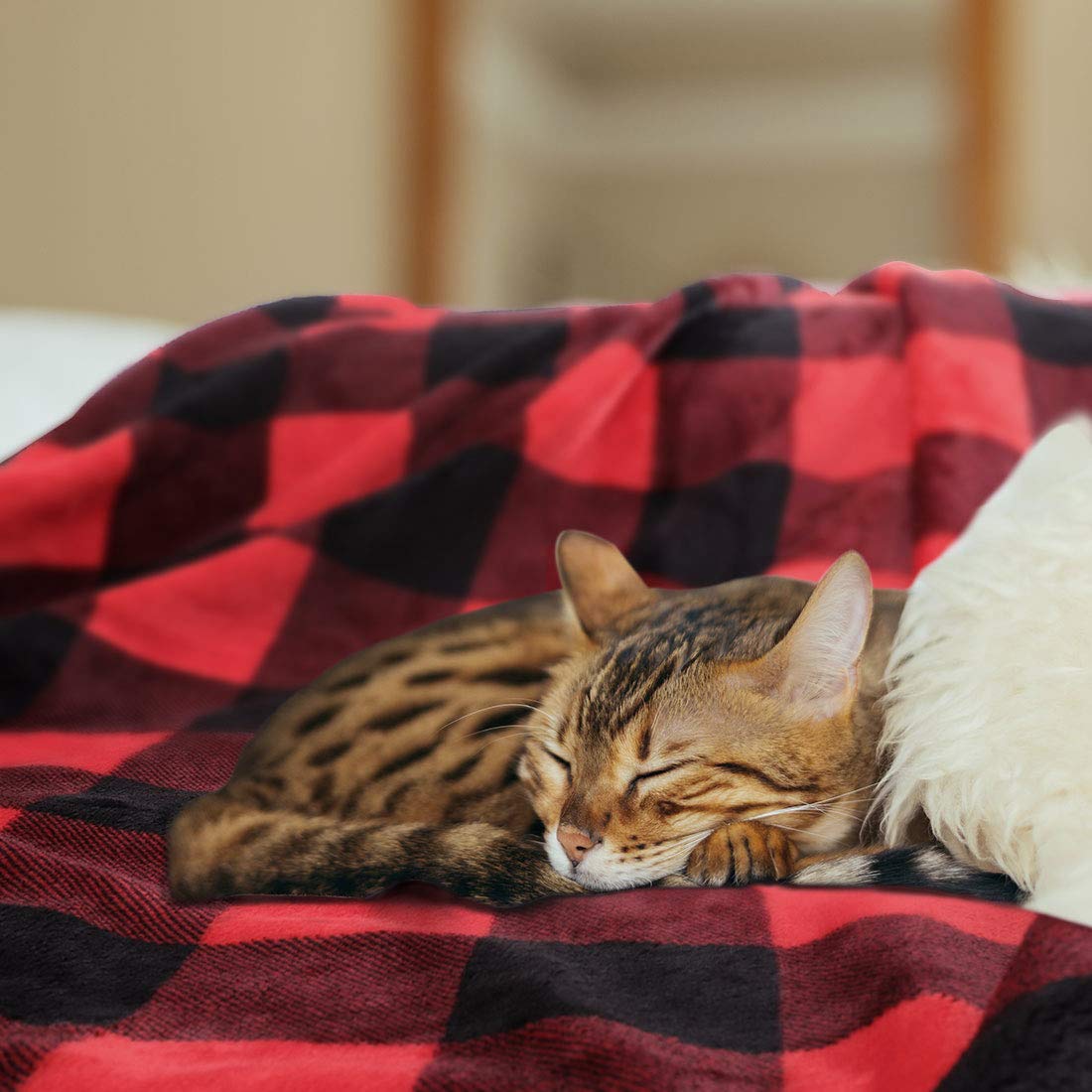 PiccoCasa Pet Dog Blanket, Flannel Fleece Puppy Blanket Plaid Plush Warm Rug Blankets for Small-Medium Dogs Cats Sleeping Mat, 30 x 40 Inches, Scarlet+Black