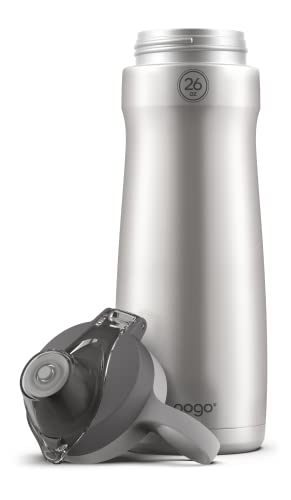 Pogo Vacuum Insulated Stainless Steel Water Bottle with Leak Proof Chug Lid and Silicone Carry Loop, Grey, 26 oz
