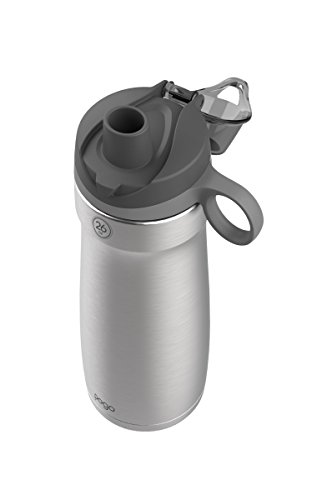 Pogo Vacuum Insulated Stainless Steel Water Bottle with Leak Proof Chug Lid and Silicone Carry Loop, Grey, 26 oz