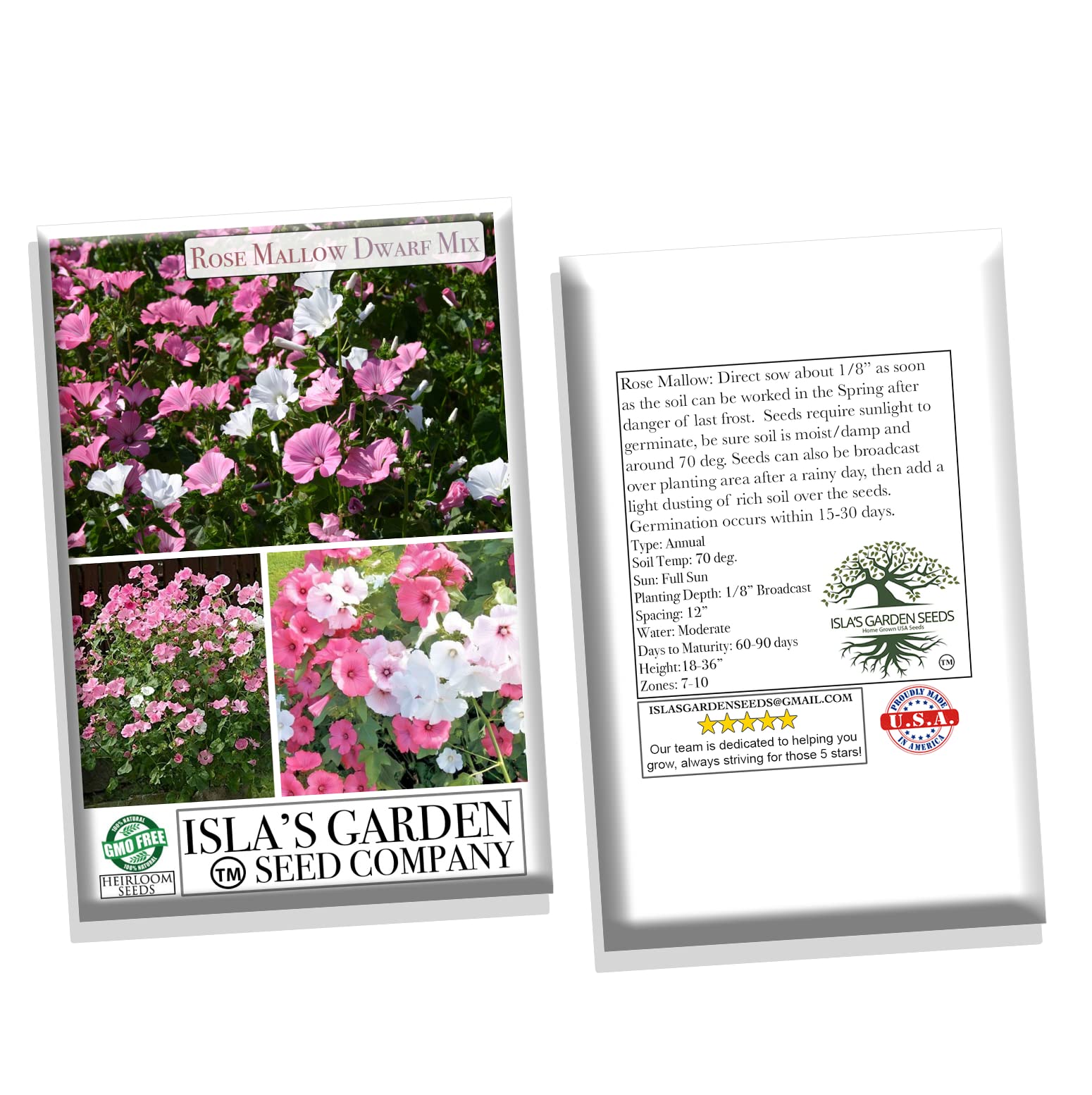 Rose Mallow Dwarf Mix Colored Flower Seeds for Planting, 100+ Seeds Per Packet, (Isla's Garden Seeds), Non GMO & Heirloom Seeds, Botanical Name: Lavatera Trimestris, Great Home Flower Garden Gift