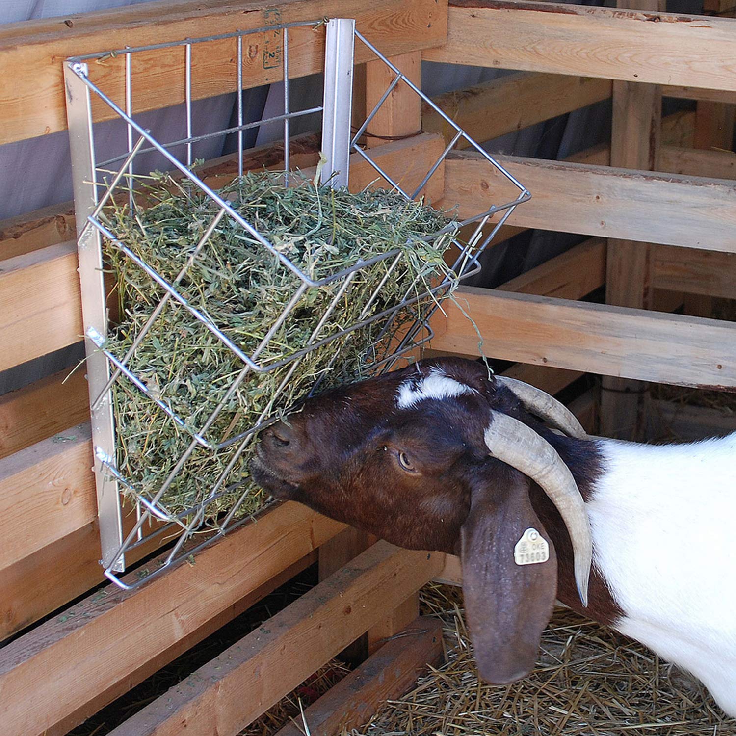 Rugged Ranch SGGBF Wall Mounted Galvanized Steel Sheep, Goat, Horse, Rabbit, Guinea Pig, and Cow Livestock Hay Feeder Rack, Silver (4 Pack)