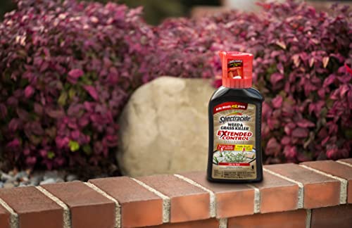 Spectracide Weed and Grass Killer with Extended Control Concentrate, 32 Ounces, with Accumeasure System (Case of 6)