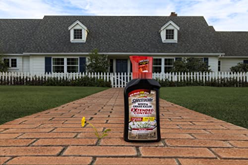 Spectracide Weed and Grass Killer with Extended Control Concentrate, 32 Ounces, with Accumeasure System (Case of 6)