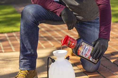 Spectracide Weed and Grass Killer with Extended Control Concentrate, 32 Ounces, with Accumeasure System (Case of 6)