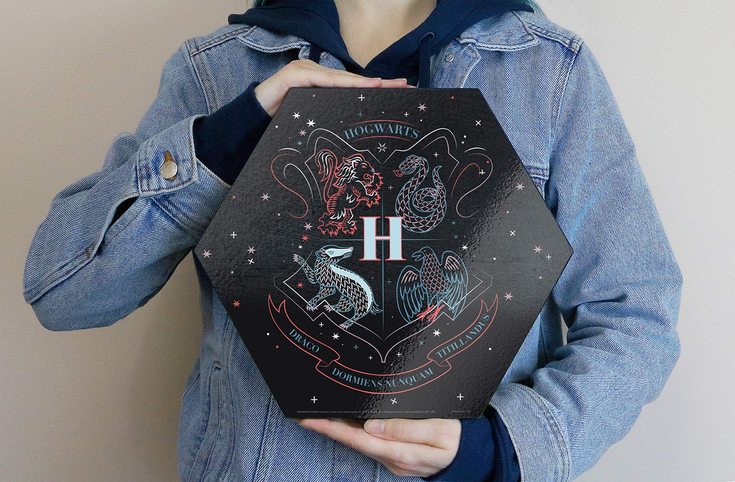 Harry Potter – Hogwarts School of Witchcraft and Wizardry – Crest - 11.5” X 10” Hexagon Shaped KNEXAGON Wood Print – Hang Alone or Connect to Other Pieces – Officially Licensed Merchandise