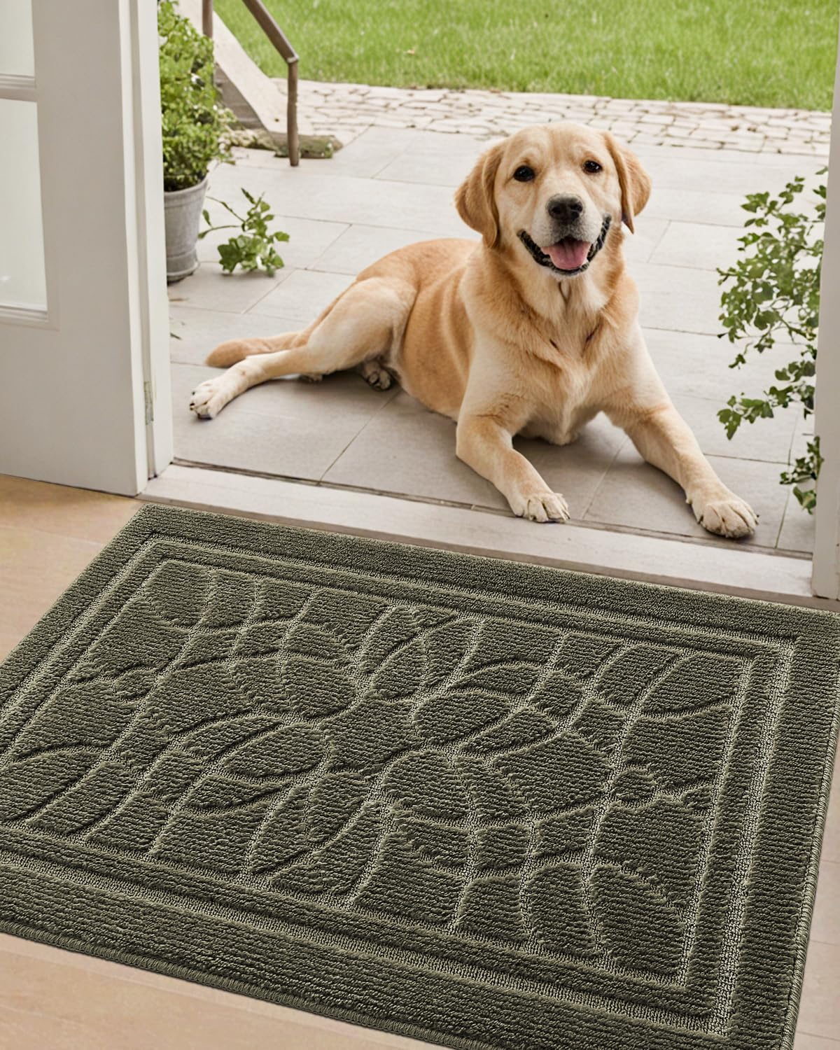 DEXI Front Door Mat for Home Entrance, 24x36 Non-Slip Absorbent Floor Mats Low-Profile Washable Doormat for Entryway, Garage, Patio, Green
