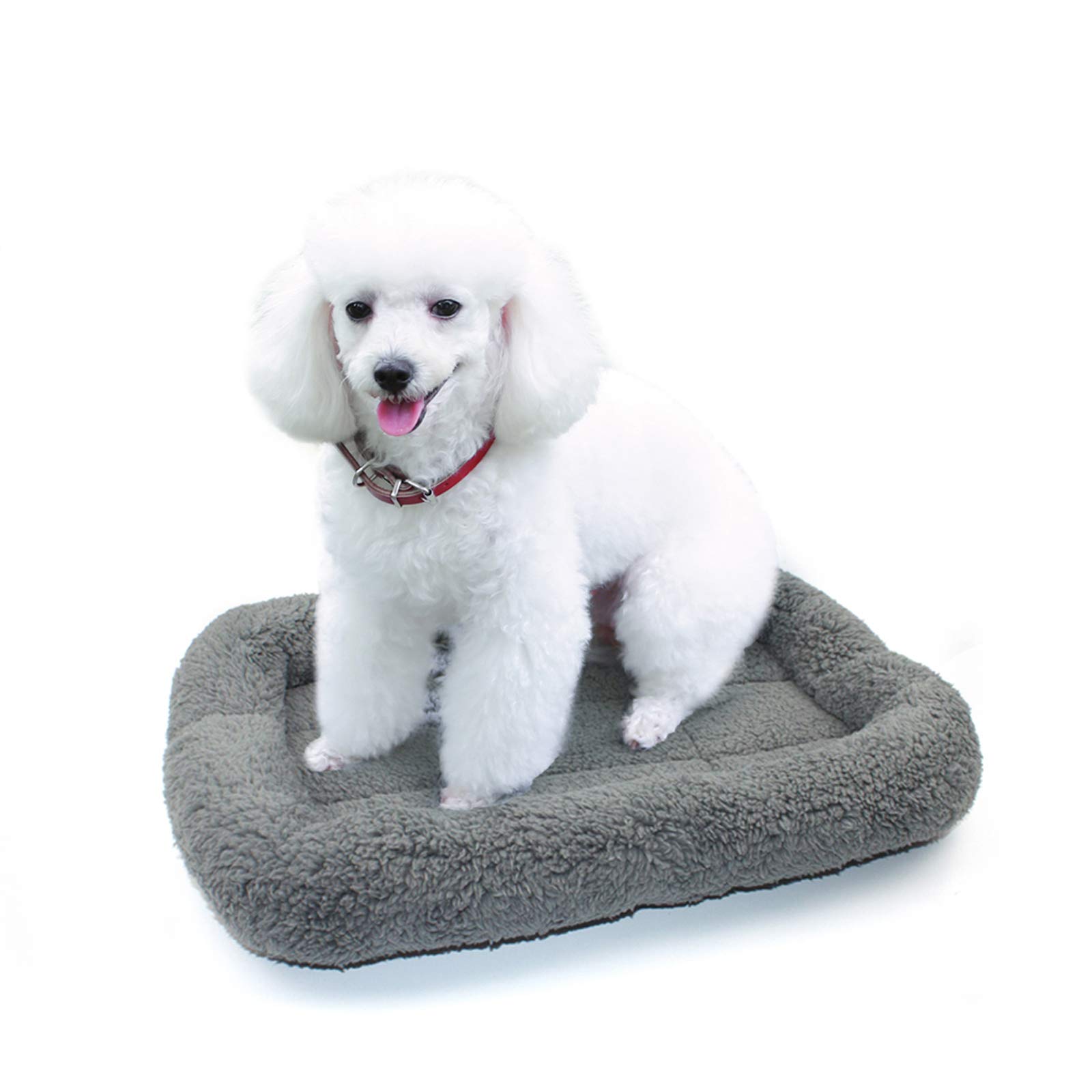 Enjoying Plush Cat Bed Mat, 16" x 22", Self Warming Cat Bed with Pillow Around, Dog Kitty Relying/Curling Sleep Cushion, Warm Bed for Small to Medium Dogs Cats Rabbits, Antiskid Bottom, Medium