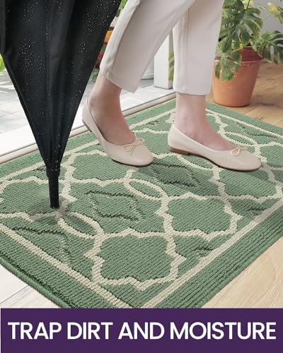 DEXI Door Mat 32x20, Non-Slip Low-Profile Entrance Mats, Absorbent Washable Front Back Doormats for Entryway, Inside Entry, High Traffic Areas, Green