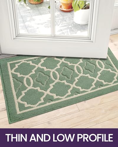 DEXI Door Mat 32x20, Non-Slip Low-Profile Entrance Mats, Absorbent Washable Front Back Doormats for Entryway, Inside Entry, High Traffic Areas, Green