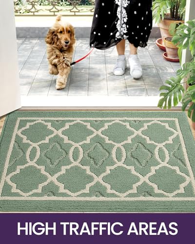 DEXI Door Mat 32x20, Non-Slip Low-Profile Entrance Mats, Absorbent Washable Front Back Doormats for Entryway, Inside Entry, High Traffic Areas, Green