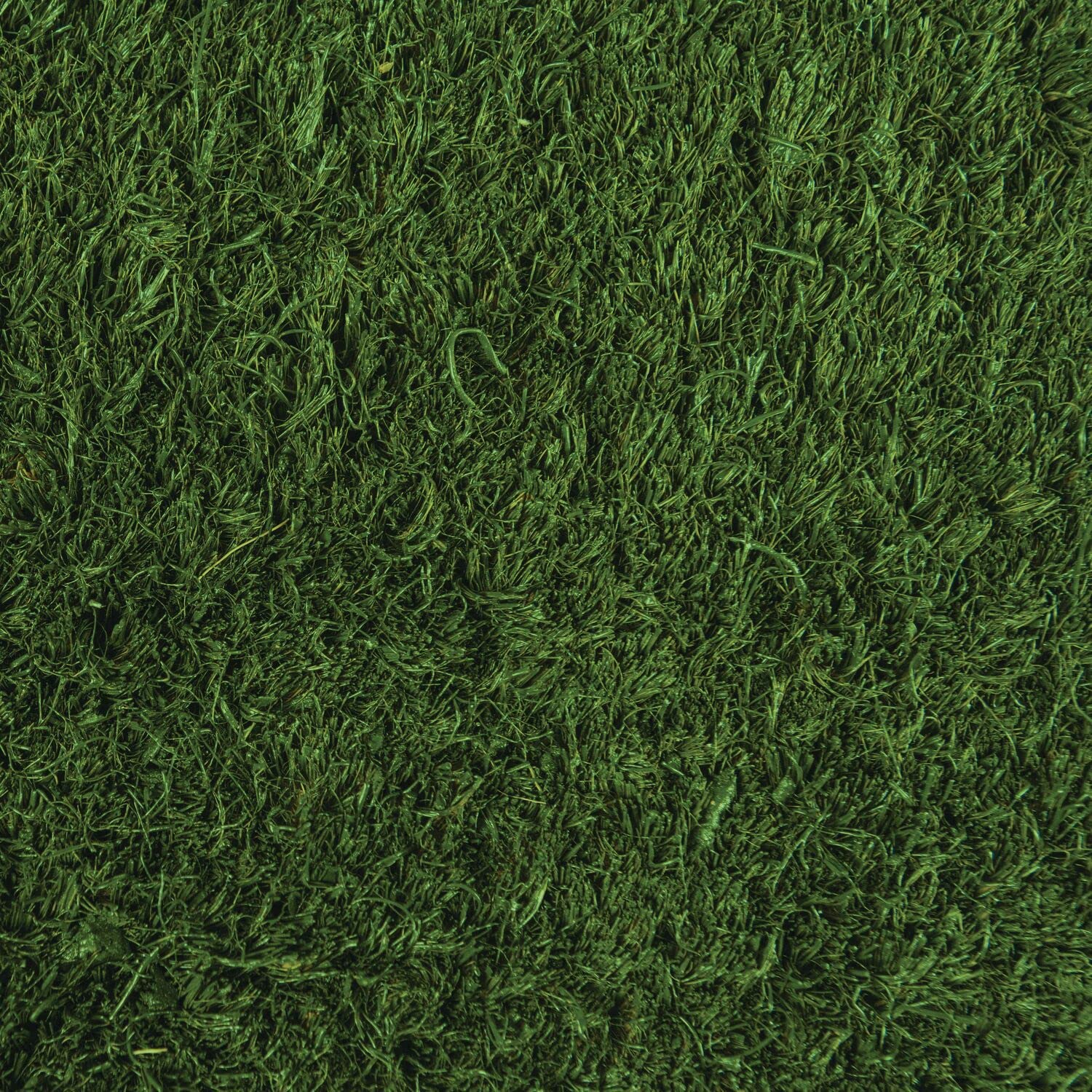 NoTrax, Green Rubber-Backed Natural Coir Doormat, Entry Mat for Indoor or Outdoor Use, 18"x30", C04 (C04S1830GN)