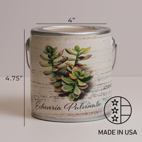 A CHEERFUL GIVER 95hr 20oz Scented Candle - Almond Butter - Multi-Wick Glass Candle - Gifts for Men and Women
