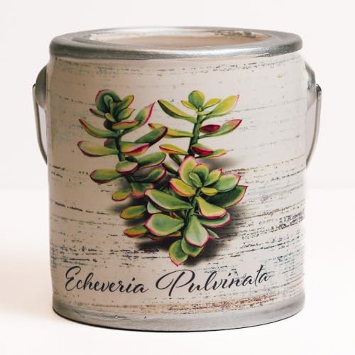 A CHEERFUL GIVER 95hr 20oz Scented Candle - Almond Butter - Multi-Wick Glass Candle - Gifts for Men and Women