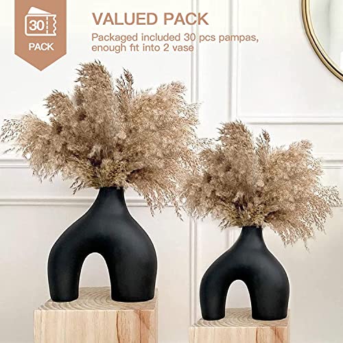 HUMINBO Pampas-Grass Pompous Dried Pampass Plants Fluffy Pompas Grasses 30 Stems Small Pompus Short