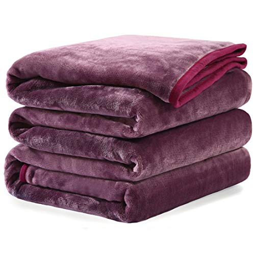 LEISURE TOWN Fleece Blanket Queen King Twin Throw Size Soft Summer Cooling Breathable Luxury Plush Travel Camping Blankets Lightweight for Sofa Couch Bed (Lavender, Queen (90" x 90"))