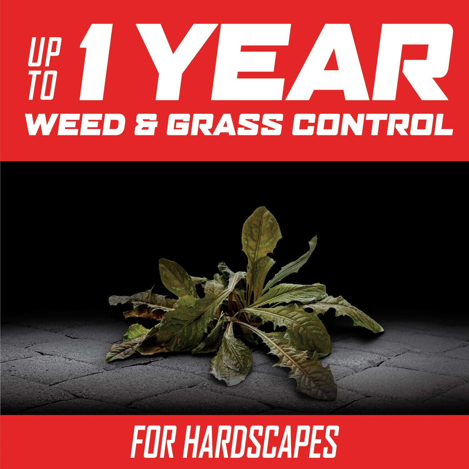 Ortho GroundClear Year Long Vegetation Killer1, Concentrate, Kills Tough Weeds and Prevents Re-Growth Up to 1 Year, 32 oz.