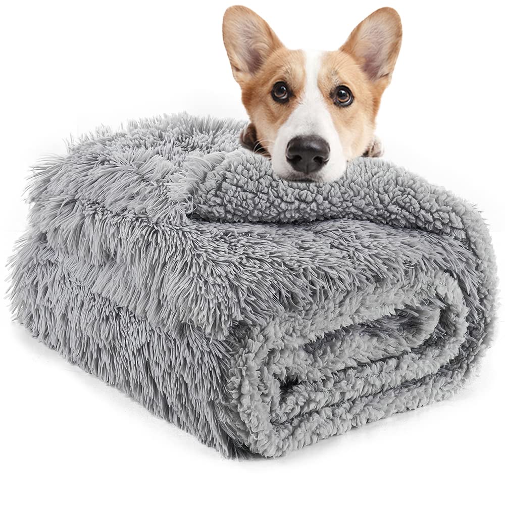 LOCHAS Luxury Fluffy Dog Blanket, Extra Soft and Warm Sherpa Fleece Pet Blankets for Dogs Cats, Plush Furry Faux Fur Puppy Throw Cover, 20''x30'' Grey