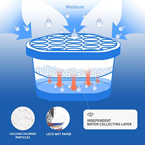 ✅ 𝗩𝗮𝗰𝗽𝗹𝘂𝘀 Moisture Absorber Boxes (6 Pack), 10.5 Oz, Vacplus Unscented Moisture Absorber, Humidity Absorber Attracts Extra Moisture from Your Bathroom, Closet, Kitchen & Study, Dehumidifier for Closet (Fragrance Free)
