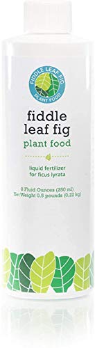 Fiddle Leaf Fig Tree Plant Food for Ficus Lyrata (and Ficus Audrey) ā Calcium Fortified, Urea-Free and with NPK Ratio of 3-1-2 for Healthy Roots, Stems and Leaves (8 Ounces))