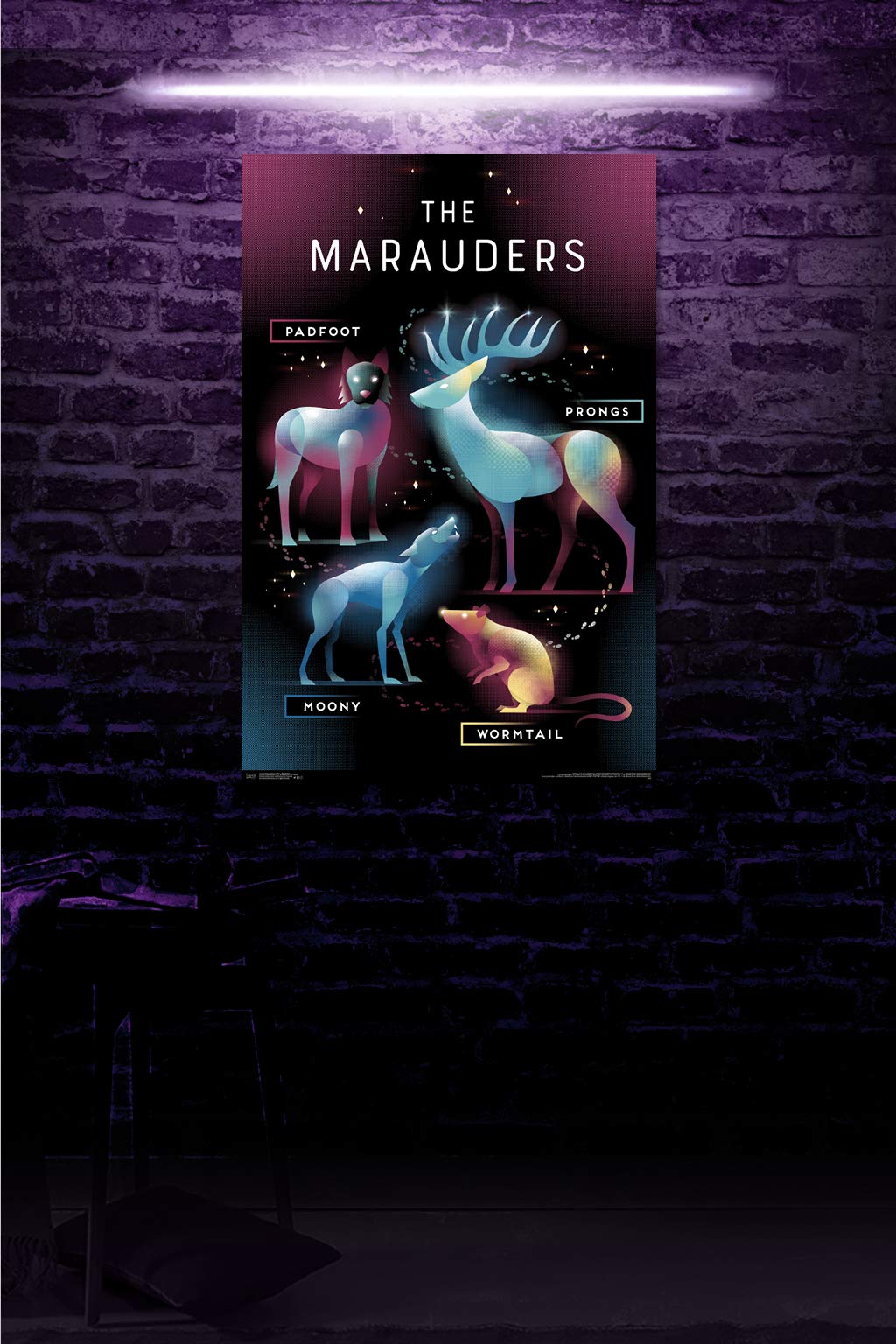 Trends International Neon-Harry Potter-Marauders Wall Poster, 22.375 in x 34 in, Unframed Version