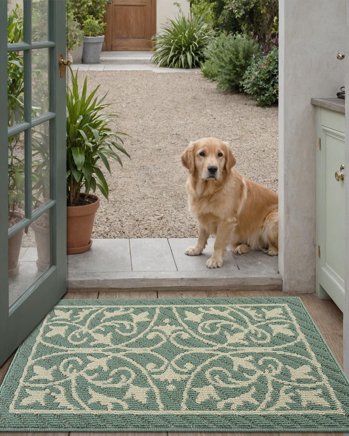 DEXI Front Door Mat Entryway, Inside Entrance Doormat, Non Slip Washable Entry Mats, 23.5x35.5,Dark Sea Green