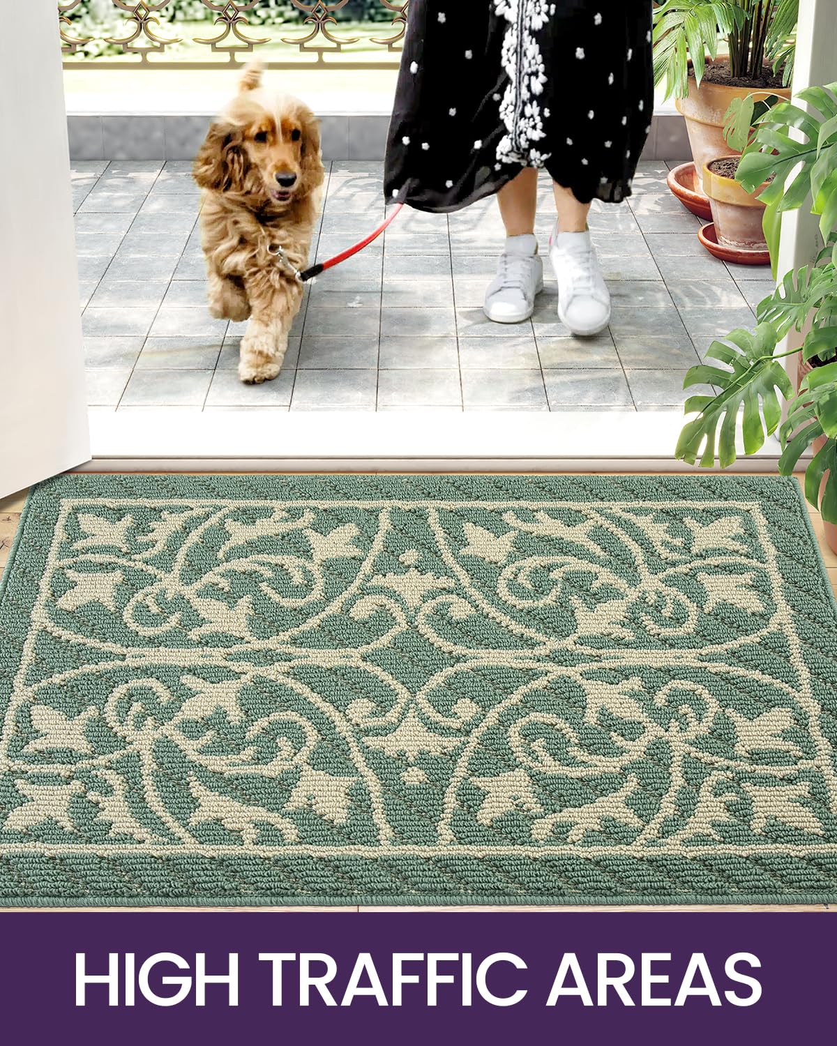 DEXI Front Door Mat Entryway, Inside Entrance Doormat, Non Slip Washable Entry Mats, 23.5x35.5,Dark Sea Green