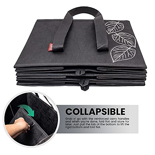Planet E Reusable Grocery Shopping Bags with Reinforced Bottoms (Pack of 3)