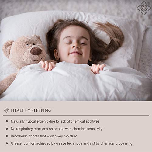 Bioweaves 100% Organic Cotton Banded Pillow Shams Soft Sateen Weave GOTS Certified – Standard/Queen Size, Set of 2, White & Navy