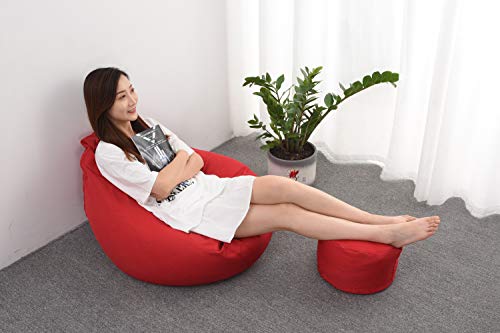 AMTOOCH Double Layer Bean Bag Chair Cover Beanless Bag Recliner Washable Memory Foam Bag Plush Animal Stuffed Storage Footstool Seat Lounge Chair Lined(Beanbag Cover Only)