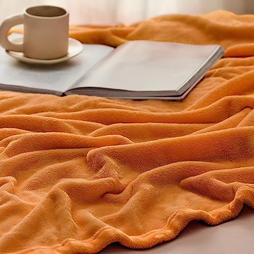 Bedsure Fleece Blanket Throw Blanket Orange - 300GSM Throw Blankets for Couch, Sofa, Bed, Soft Lightweight Plush Cozy Burnt 0range Blankets and Throws for Toddlers