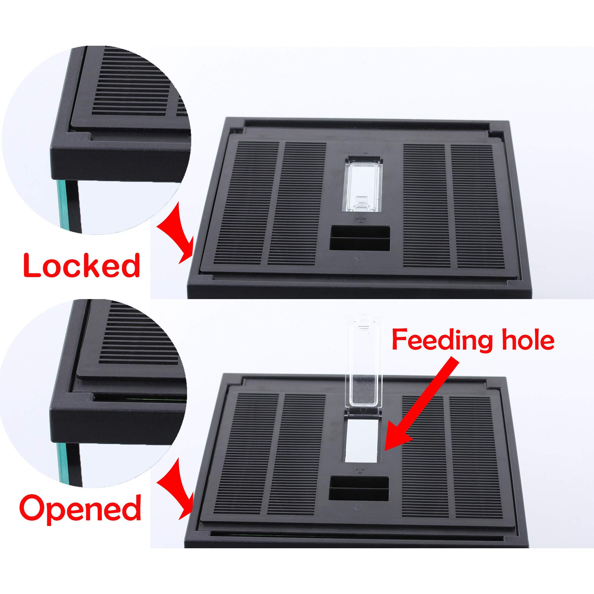 crapelles Black Small Vertical Insect GlassTerrarium, 7.8x7.8x10.8'' Reptile Tank, for Tarantula Larvae Caterpillar Frog Snail Spider Hermit Crab Habitat Container House Cricket Breeding Box