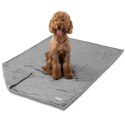 PetAmi WATERPROOF Dog Blanket for Medium Large Dog, Pet Puppy Blanket Couch Cover Protection, Sherpa Fleece Cat Blanket, Sofa Bed Furniture Protector Reversible Soft Plush Washable 60x40 Light Grey