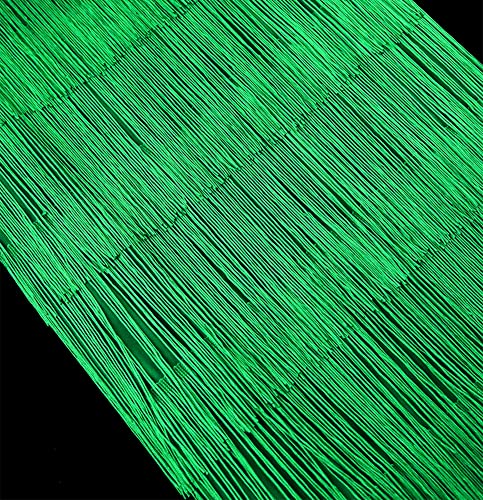 AOMEI Women's Spring Green High Waist Fringe Tiered Bodycon Pencil Midi Skirt S