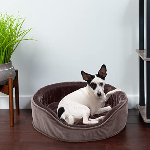 Furhaven Orthopedic Dog Bed for Medium/Small Dogs w/ Removable Washable Cover, For Dogs Up to 18 lbs - Plush & Velvet Oval Lounger - Driftwood Brown, Medium