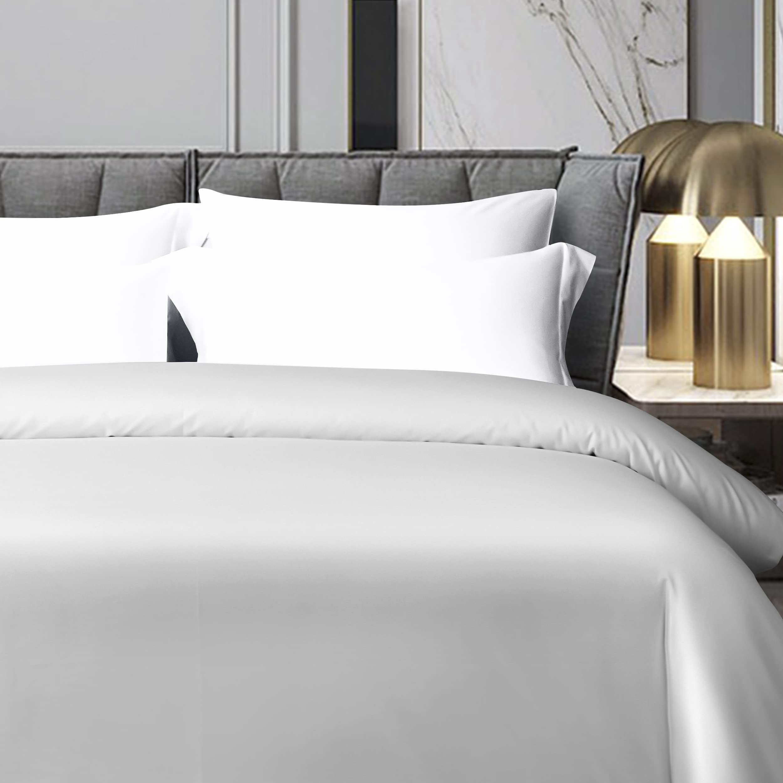 NTBAY Cotton Queen Pillow Shams - 500 Thread Count Egyptian Cotton 20x30 Sham Covers, 2 Pack Super Soft and Breathable 20x30 Inches Oxford Pillowcases, White