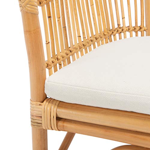 SAFAVIEH Home Collection Olivia Rattan Cushion Accent Chair, Natural/White