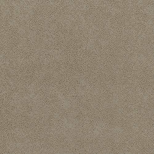 Lexicon Ryan Double Reclining Loveseat, Tan