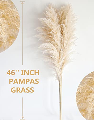 Bannifll 40" inch 10 Stems Natural Pampas Grass Decor Tall, pompas Grass, Tall Pampas Grass for Wedding, Party, Farmhouse, Boho Home Decor