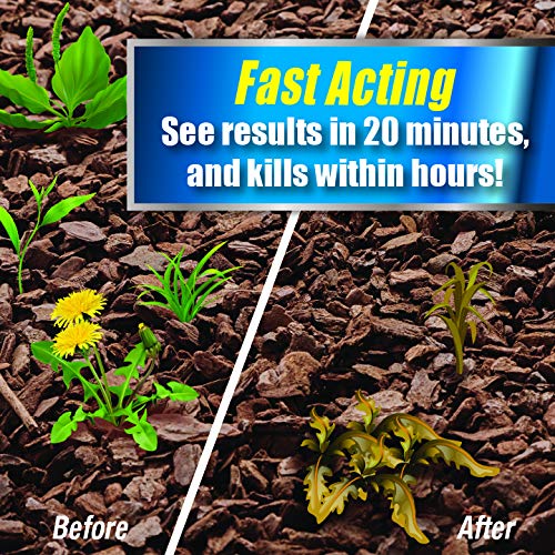 Pulverize PWG-UT-128 Grass Ready to Use Weed Killer, 1 Count (Pack of 1), Clear