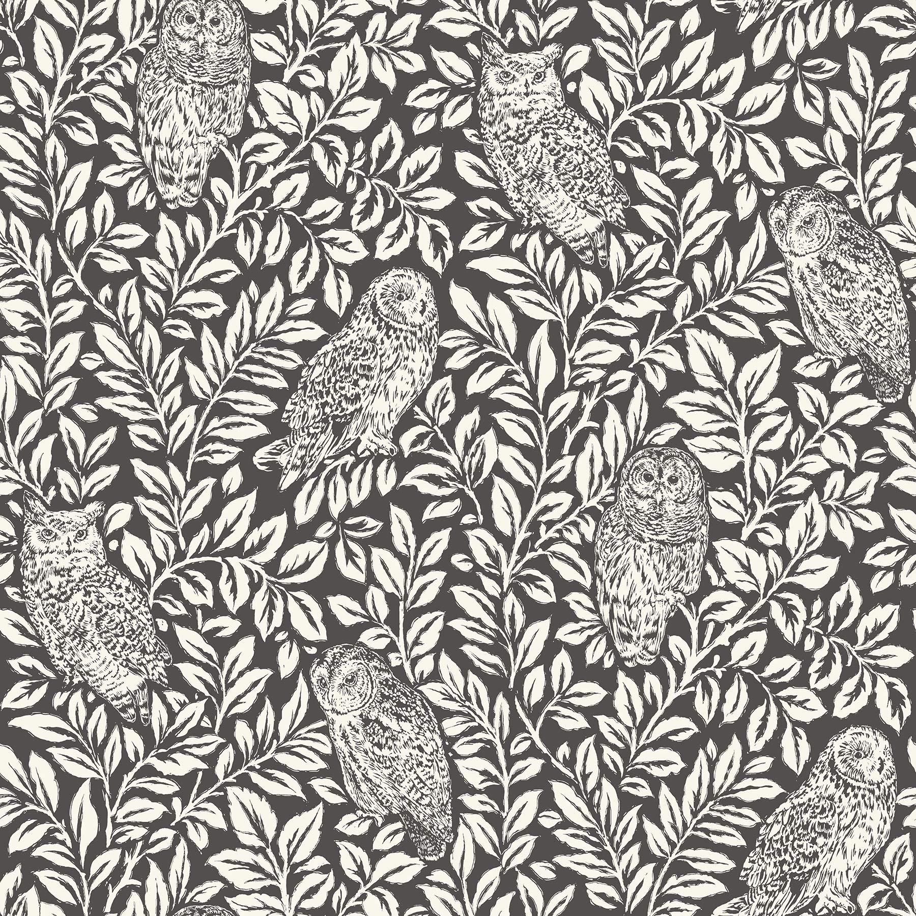 NuWallpaper NUS3625 Sleepy Owls Peel & Stick Wallpaper, Charcoal