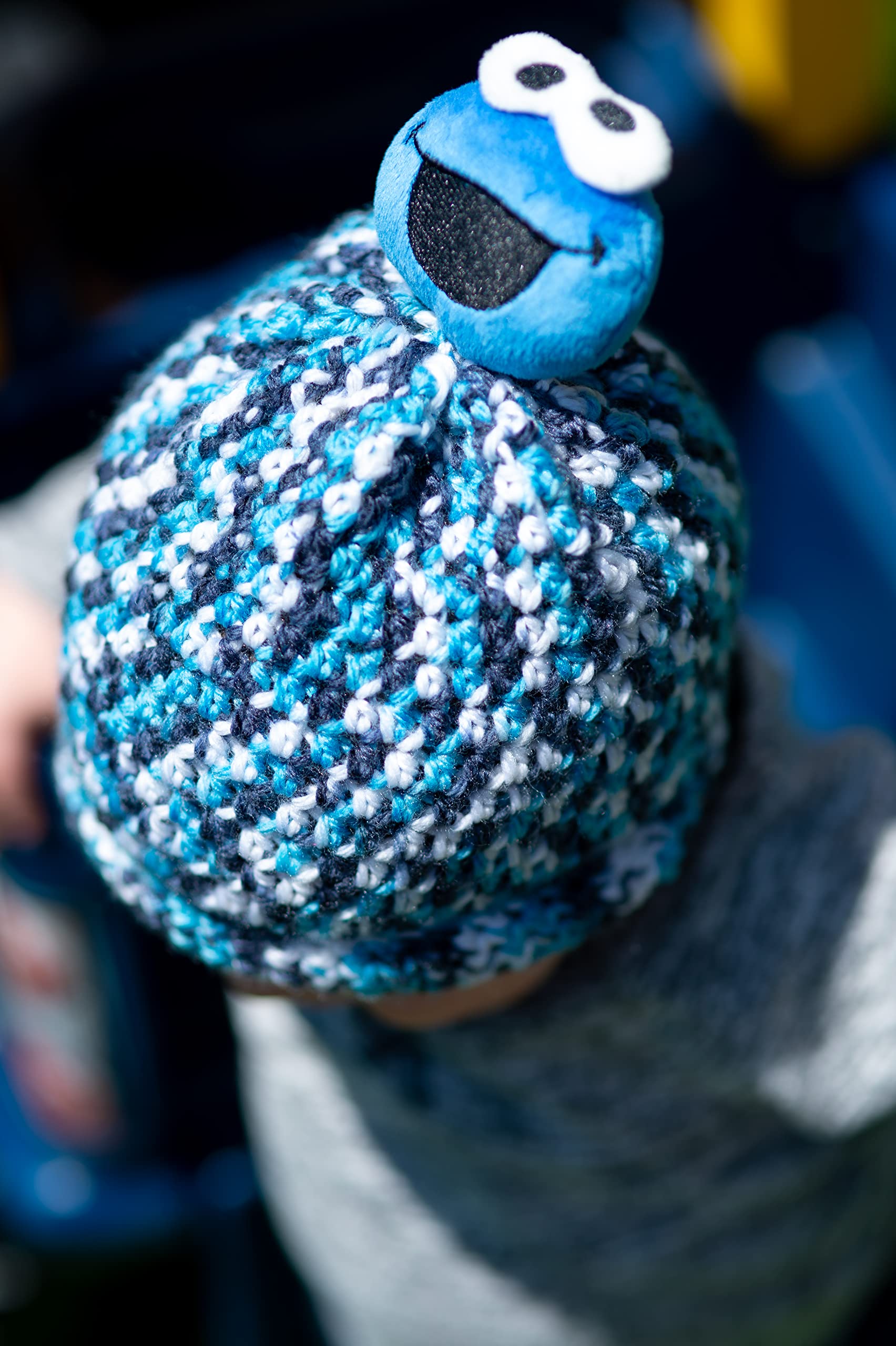 Lion Brand Yarn Sesame Street One Hat Wonder yarn, Size, Cookie Monster