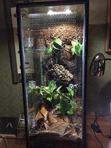 20 Gallon Long Aquarium Gecko/Arboreal Conversion Kit
