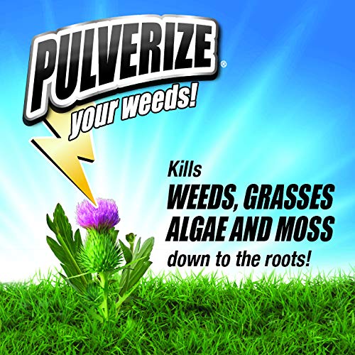 Pulverize PWG-B-128-S Grass Ready to Use Weed Killer, 128 Fl Oz (Pack of 1), Clear