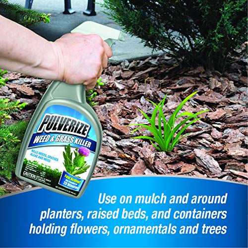 Pulverize PWG-B-128-S Grass Ready to Use Weed Killer, 128 Fl Oz (Pack of 1), Clear