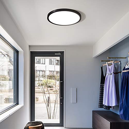TALOYA Flush Mount LED Ceiling Light Fixture Black,12 Inch 20 Watt, Thin Ceiling Lamp Surface Mount for Kitchen Bedroom Utility Laundry Closet Room,3 Color Temperatures in One (3000k/4000k/6500k)
