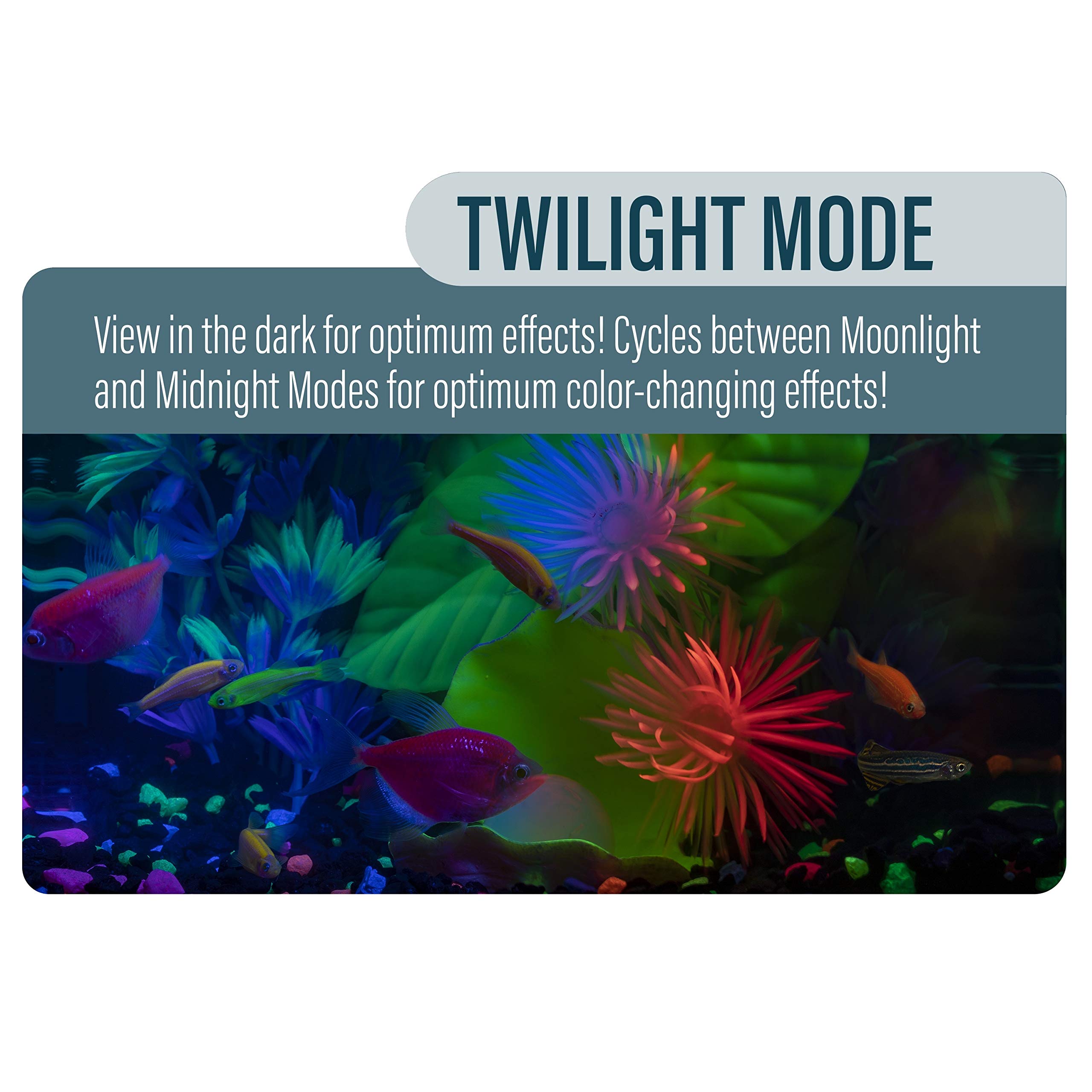 GloFish Aquarium Kit Fish Tank with LED Lighting and Filtration Included