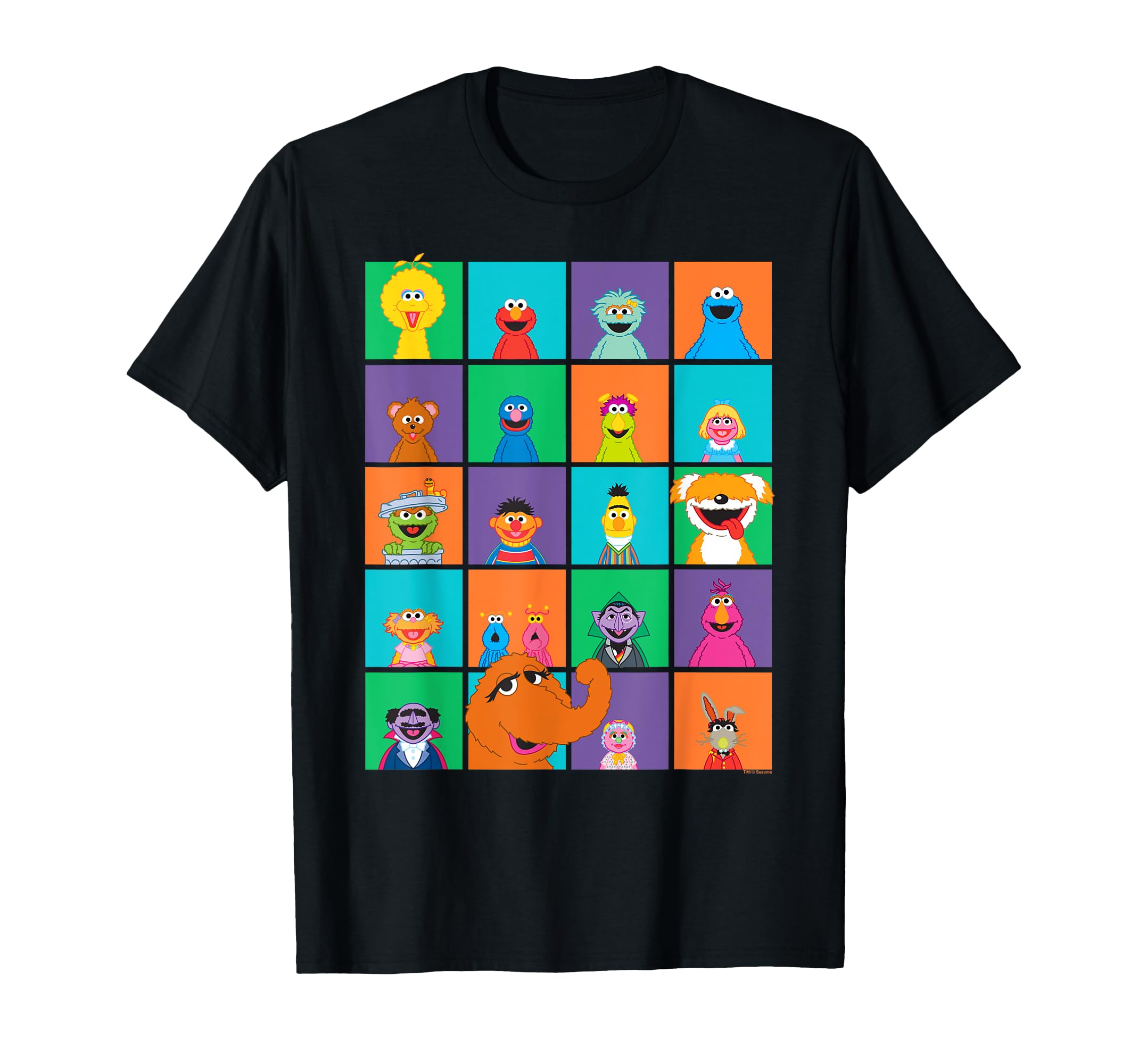 Sesame Street Character Squares T-Shirt